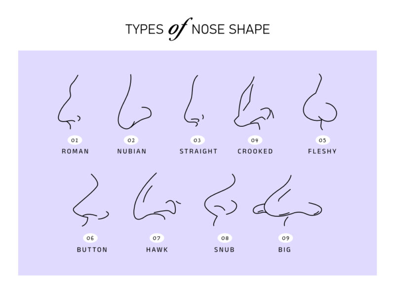 Know Major Differences Between Nose Pin and Nose Ring